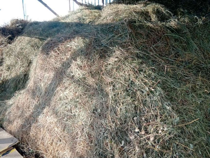 Сено луговое