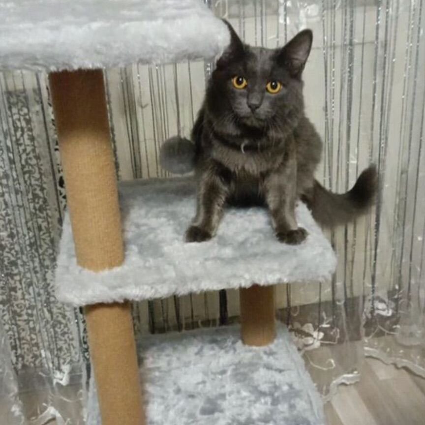 Домик для кошки