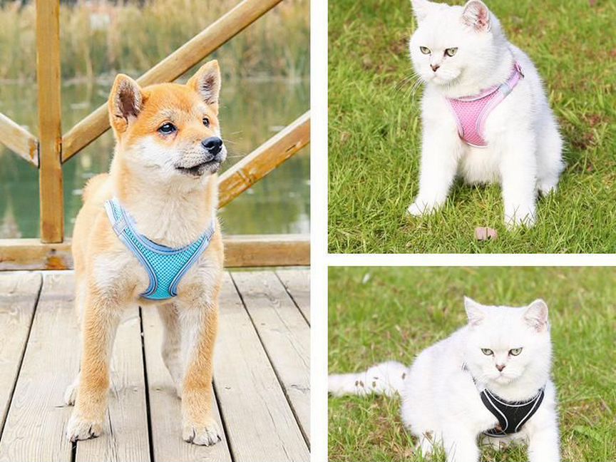 Шлейка для котят, кошек, щенков xxxs - L размер