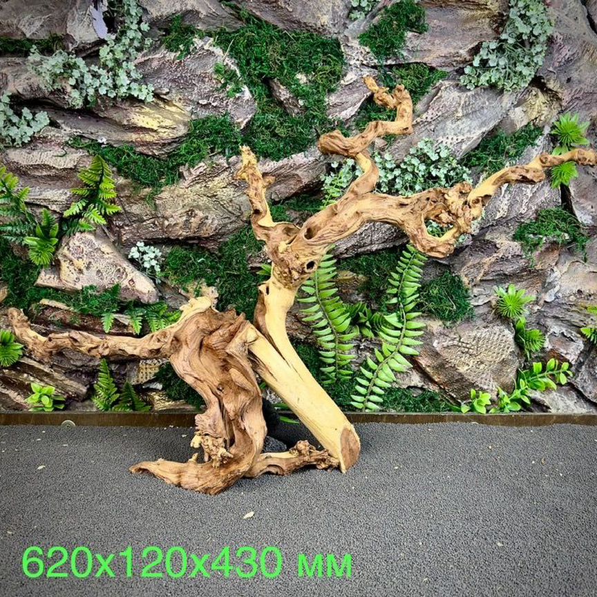 Коралловое дерево/Coral Wood кд683