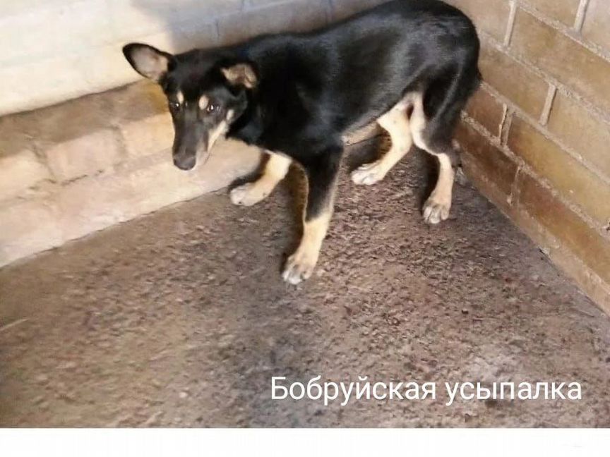 Некрупный мальчик из усыпалки