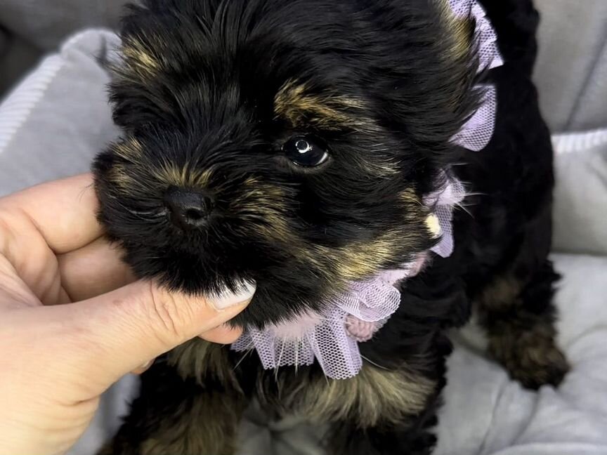 Малыш, 2 мес