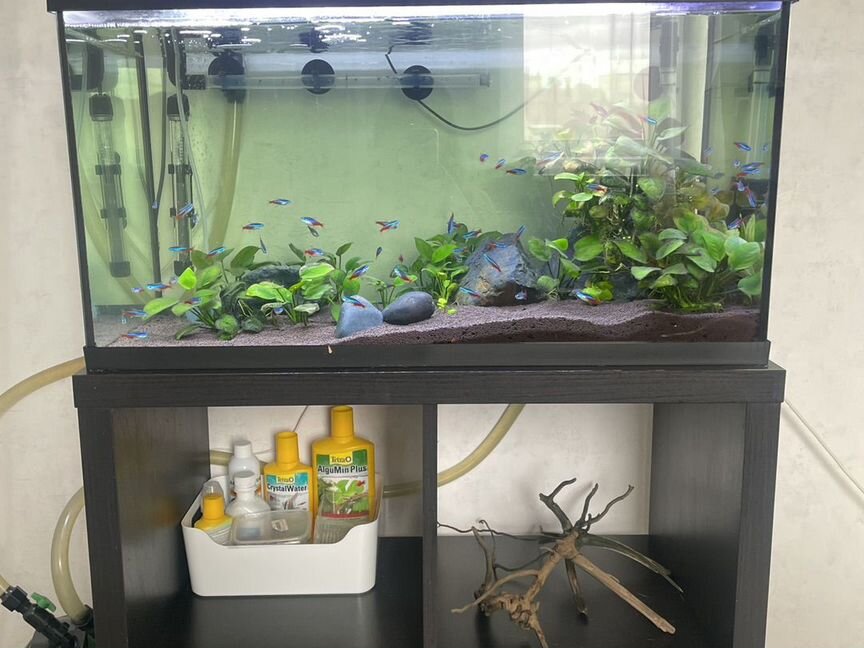 Аквариум акваэль+внегний фильтр тетра+тумба