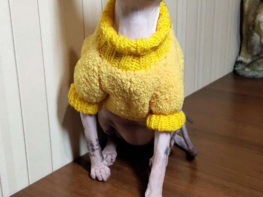 Вязаная одежда для кошек