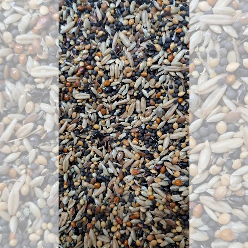 Корм для птиц