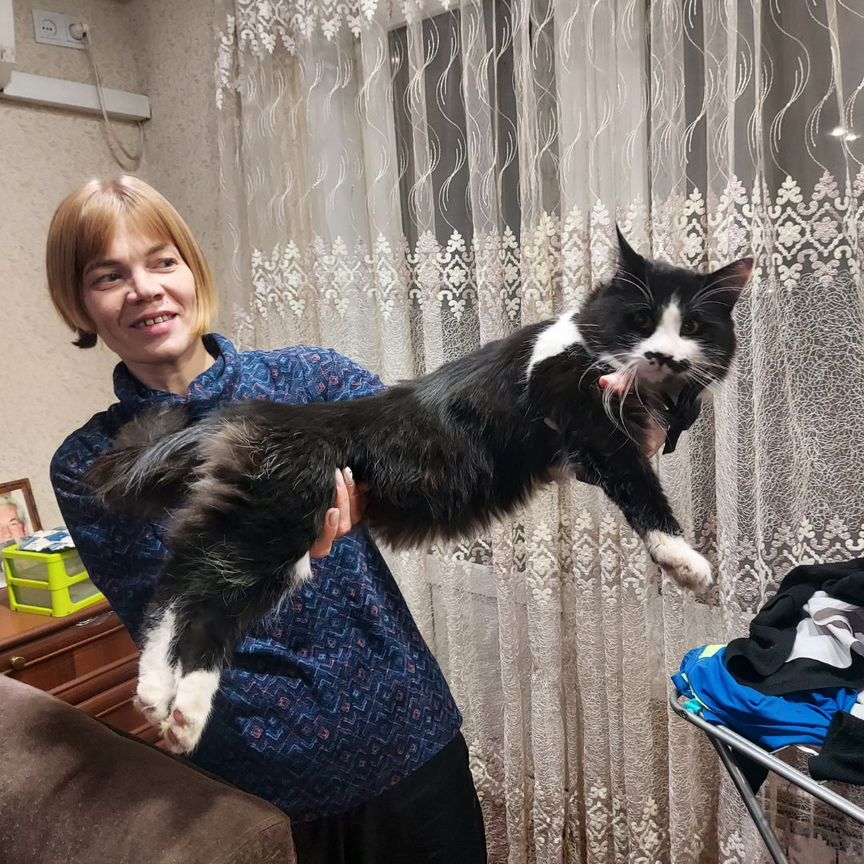 Кот Адольф