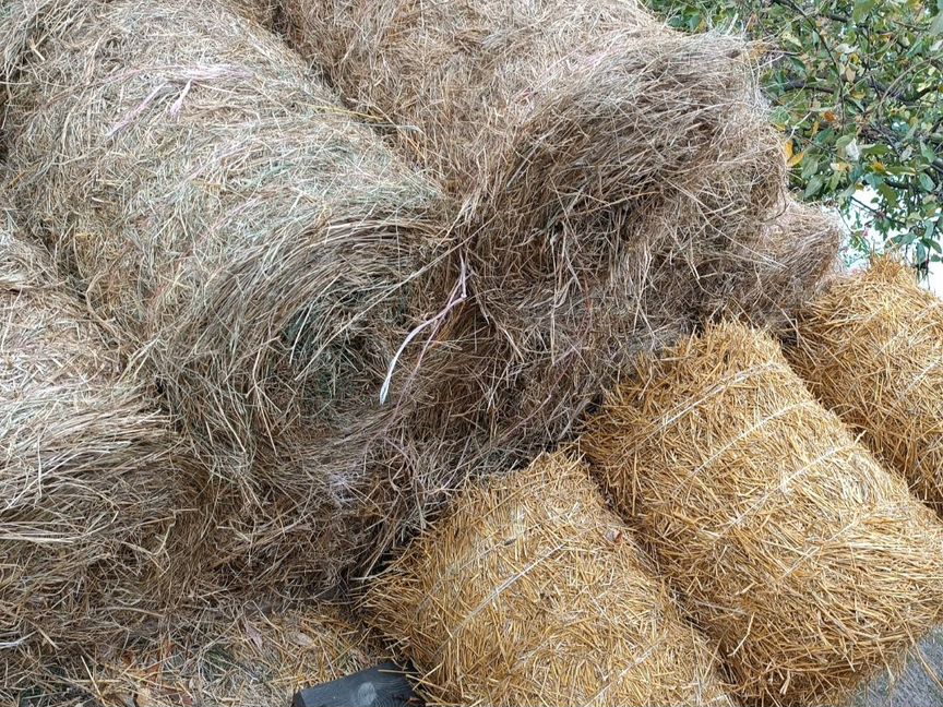 Сено в мини рулонах