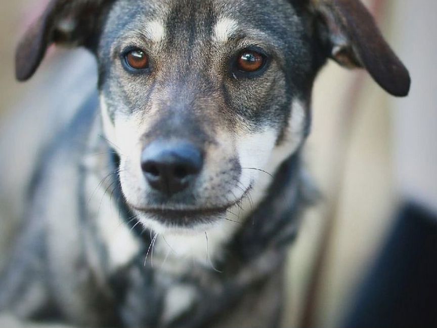 Очаровательная Мира из зоны сво