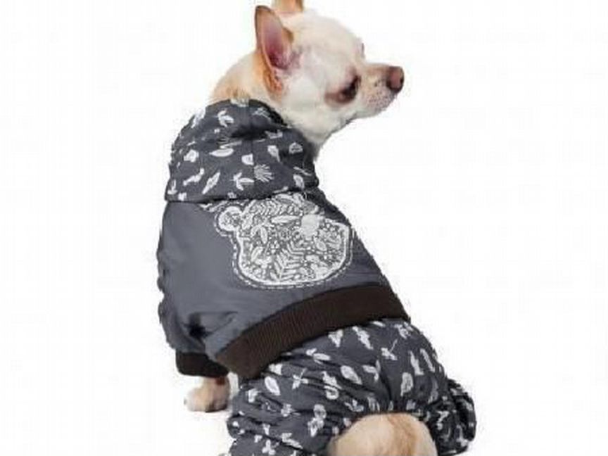 Triol (одежда) Дождевик Disney Winnie-the-Pooh,XS