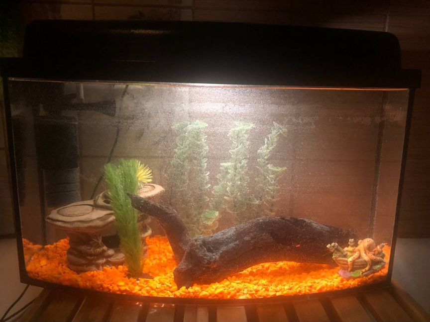 Аквариум 55л