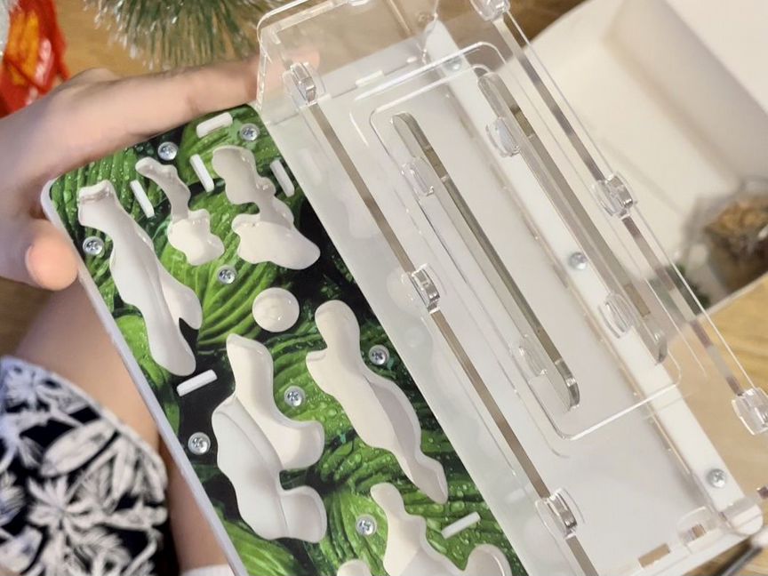 Муравьиная ферма комплект на Новый год