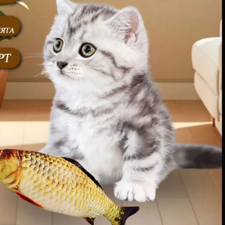 Новая игрушка для животных с мятой