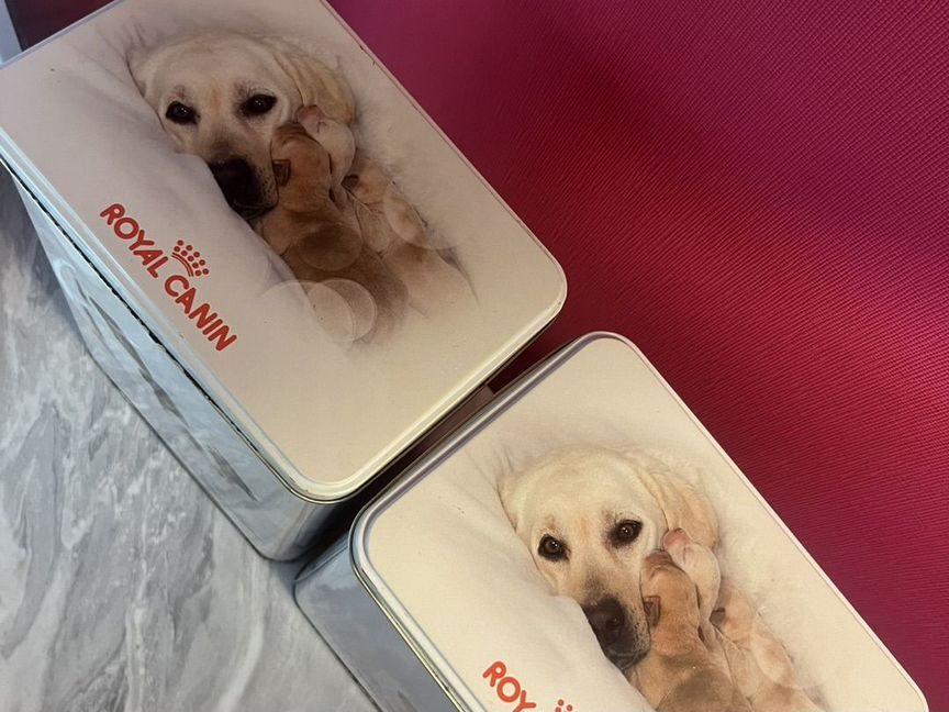 Контейнер royal canin для корма до собак