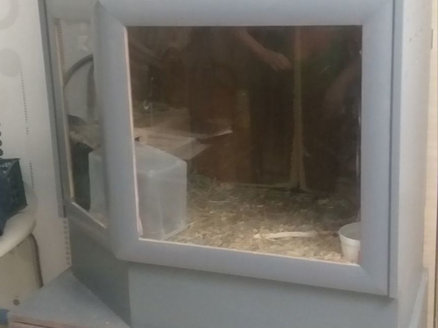 Домик для шиншилл Бесплатно