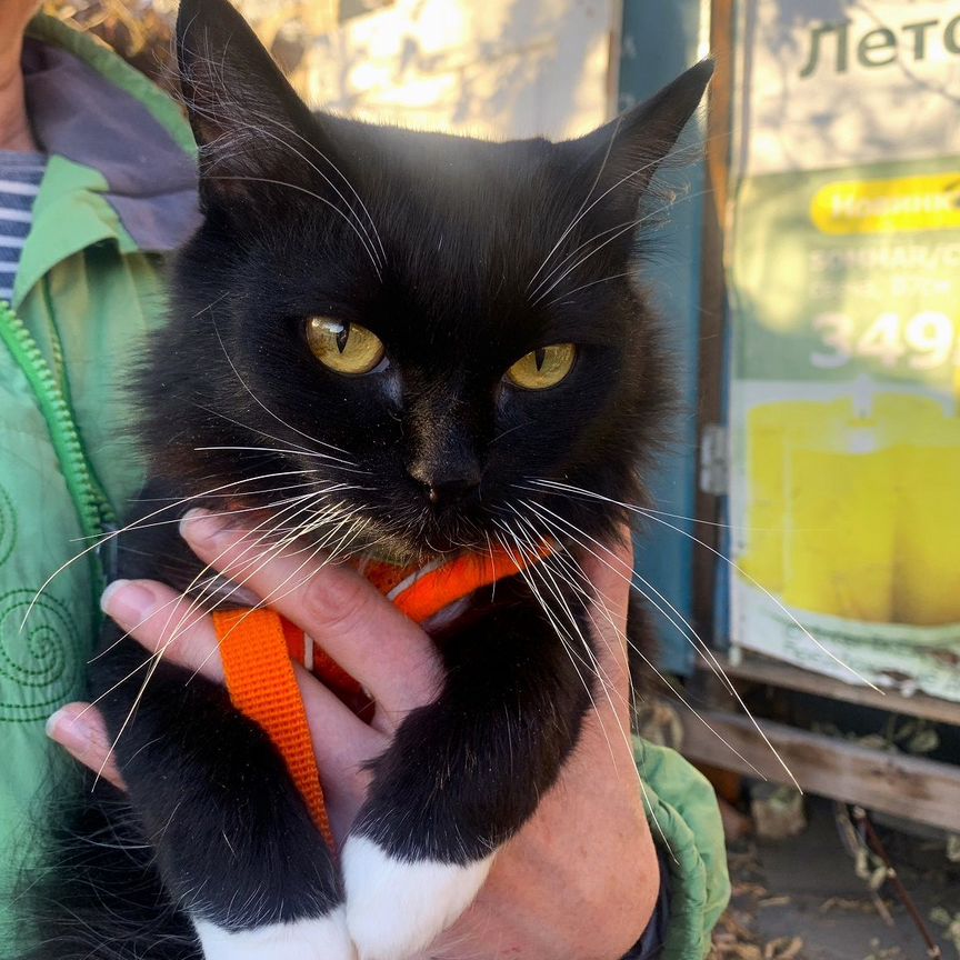 Дотроньтесь до моего сердца