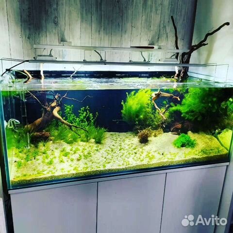 Аквариумные комплексы