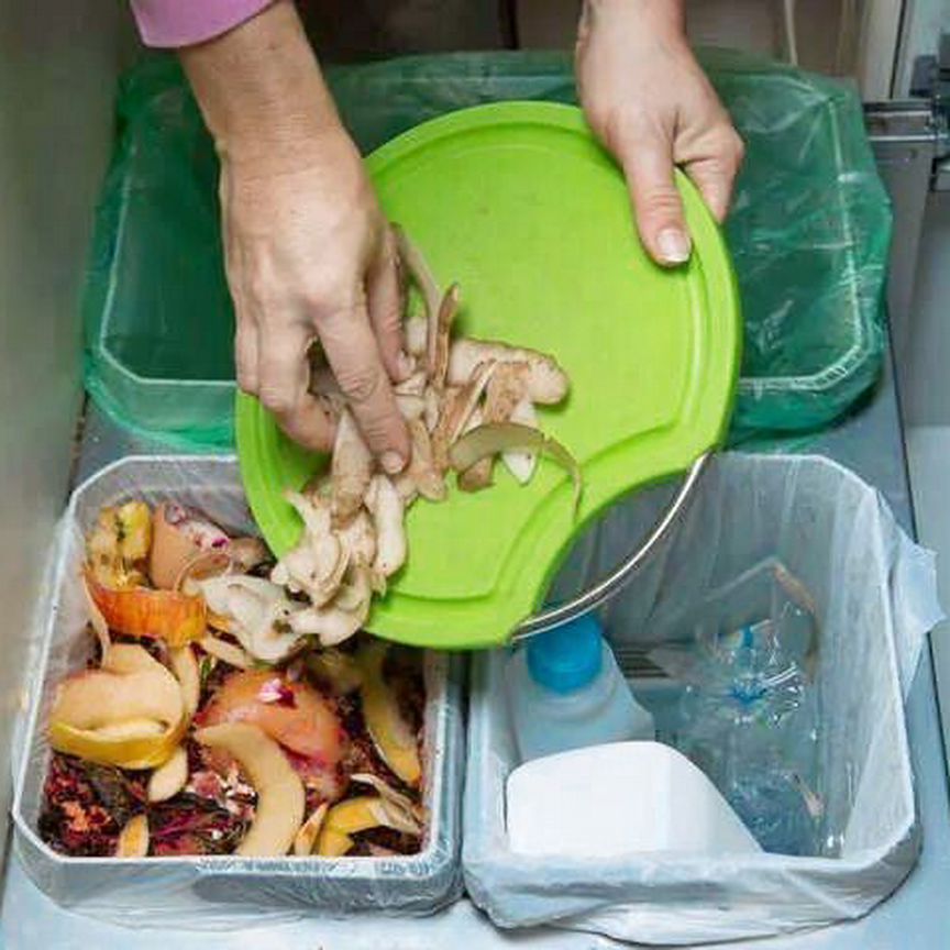 Пищевые отходы для животных бесплатно