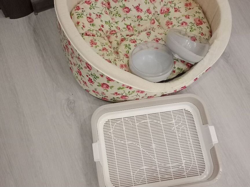 Кошачьи принадлежности