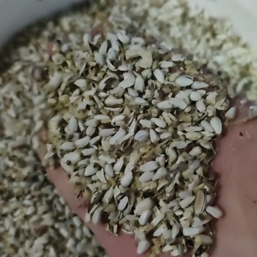 Корм для птиц