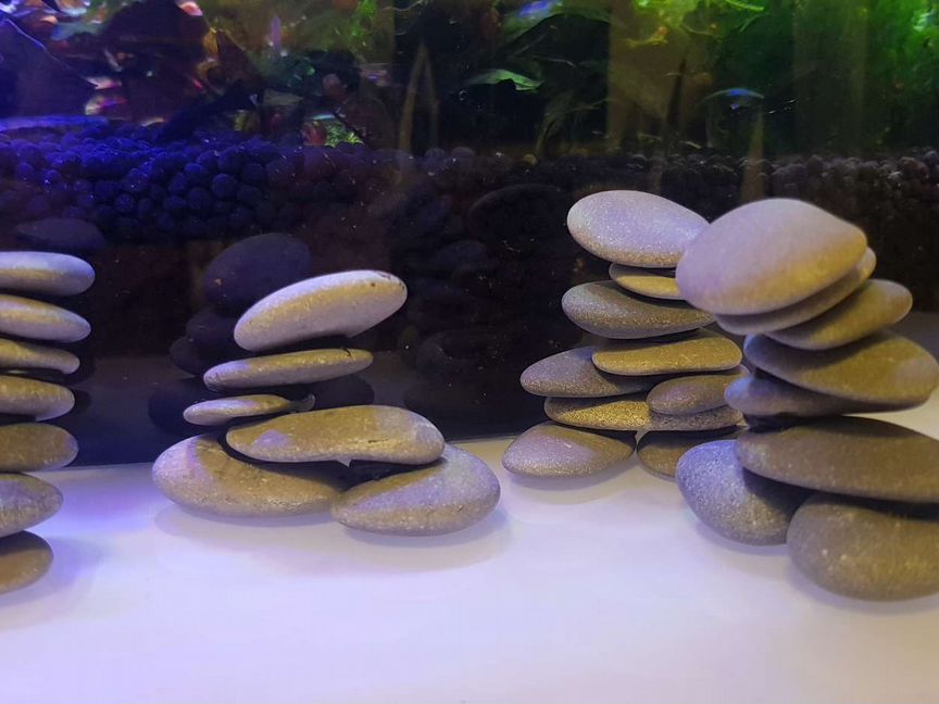 Декорации для аквариума