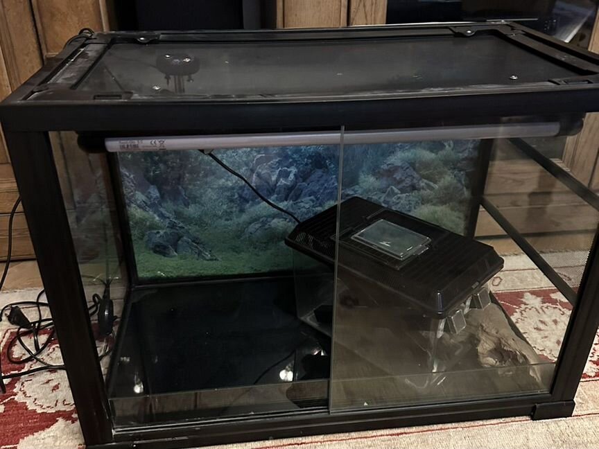 Террариум для рептилий