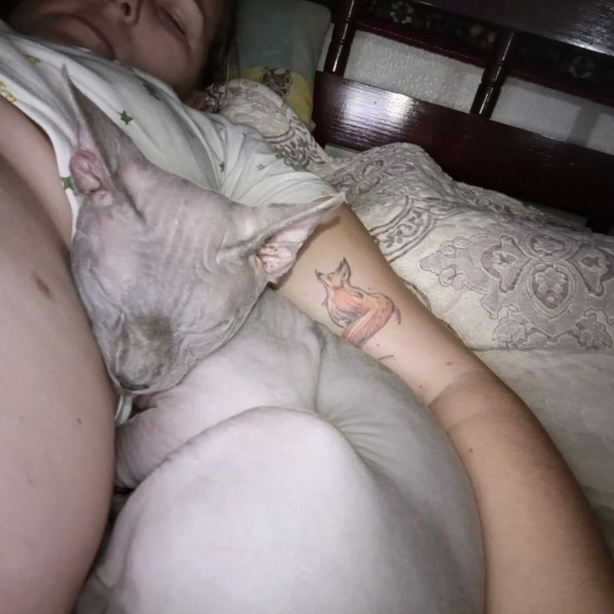 Сфинкс