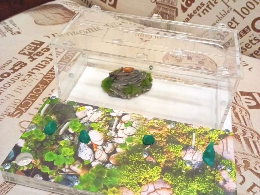 Формикарий муравьиная ферма 20*20