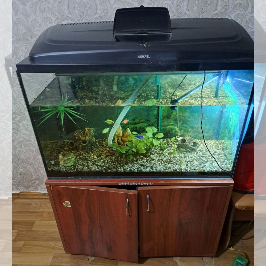 Аквариум с тумбой