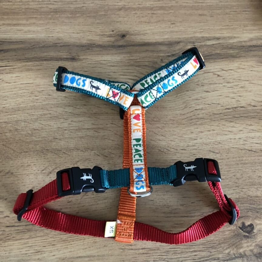 Шлейка Шарик дог