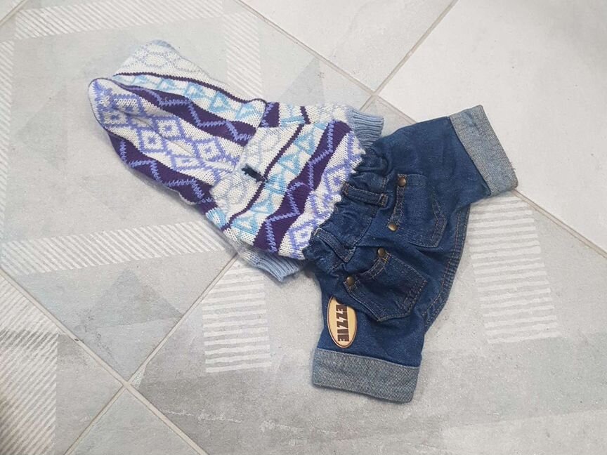 Одежда для маленьких собак