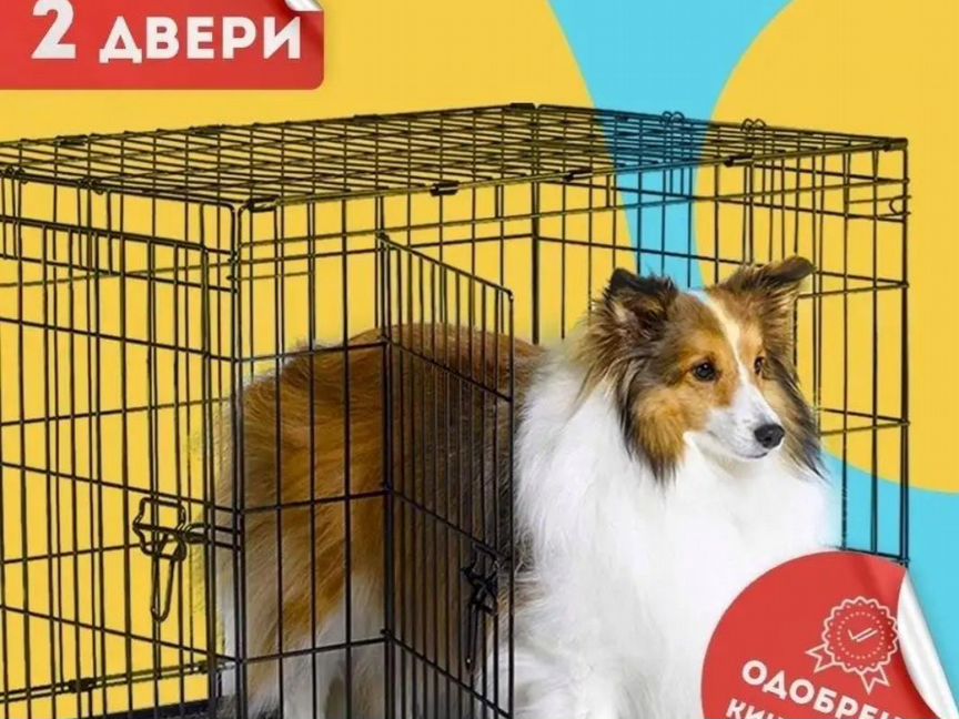 Клетки