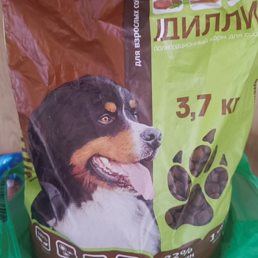 Корм для собак