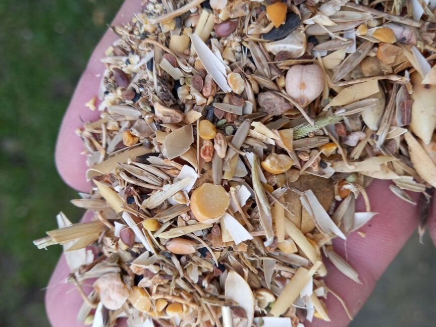 Горох,нут(отходы)