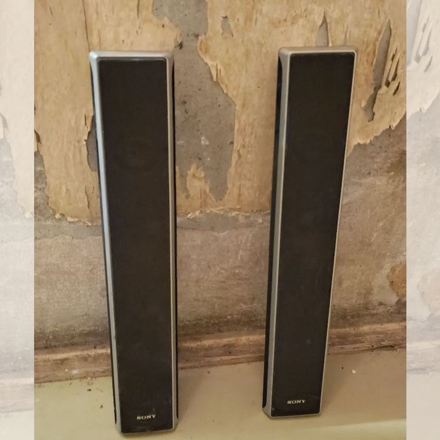 Канадский сфинкс котёнок