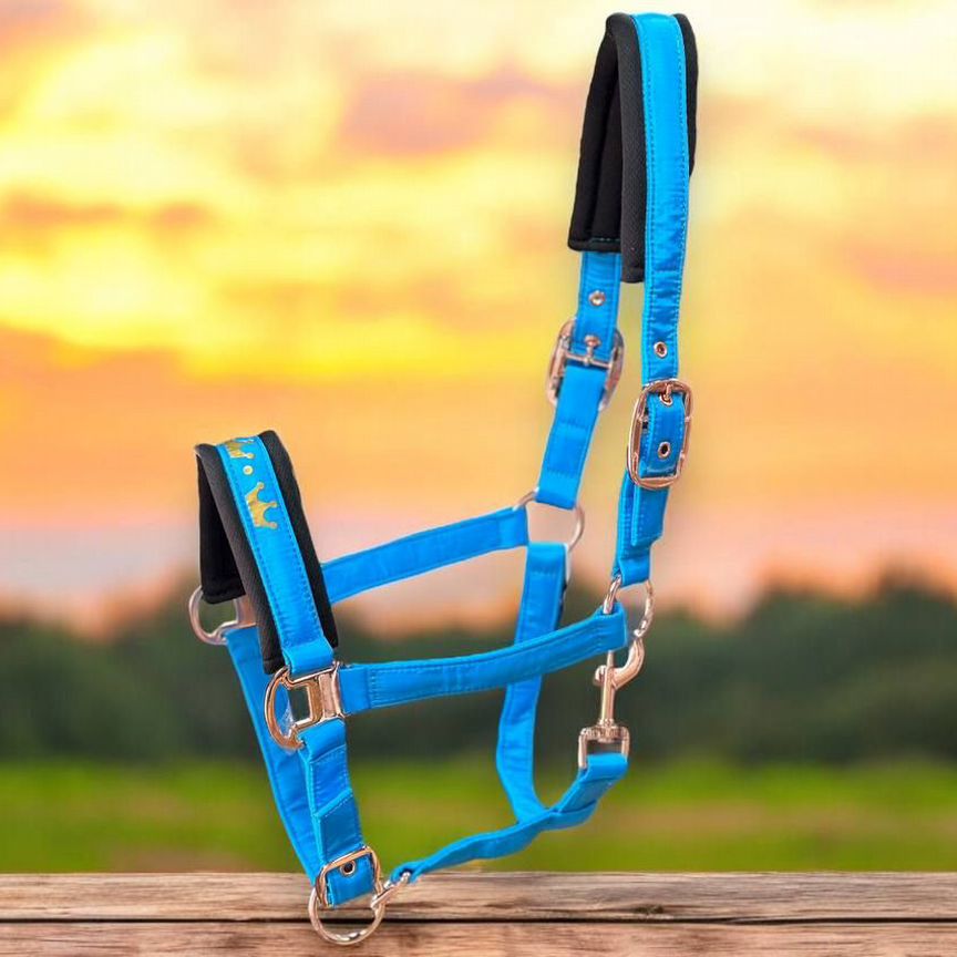 Недоуздок ridenow (сов, full) Новый