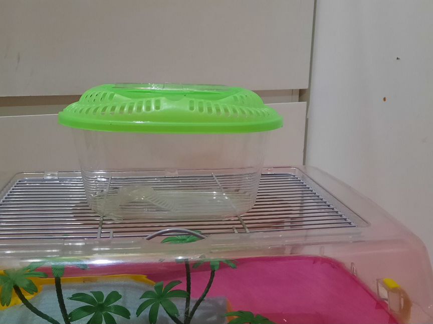 Террариум для красноухой черепахи