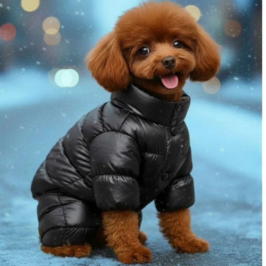 Одежда для собак мелких пород L