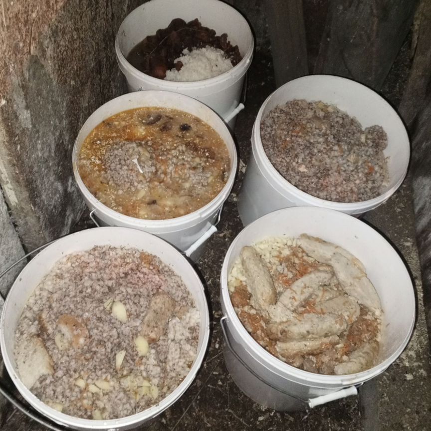 Пищевые отходы для животных