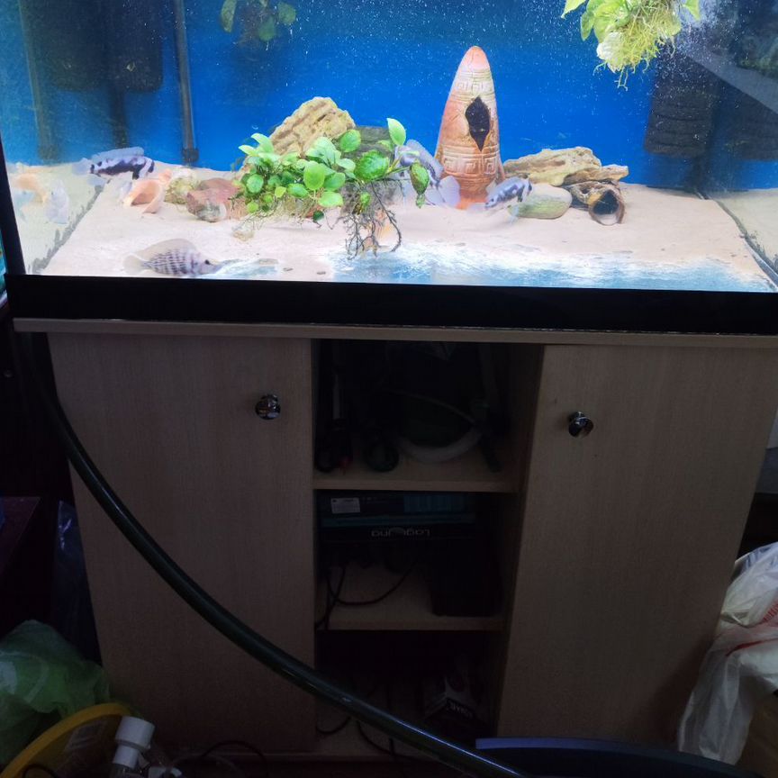 Аквариум с тумбой бу