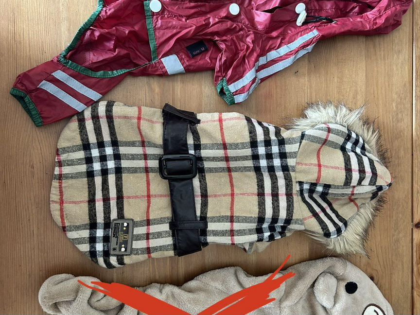 Одежда для собак мелких пород