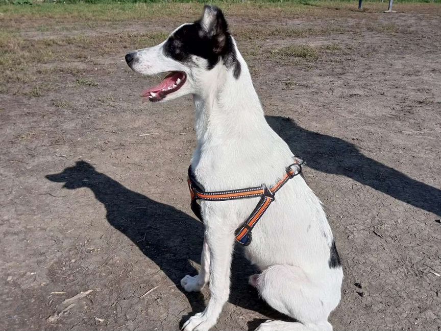 Малыш ждёт свою семью