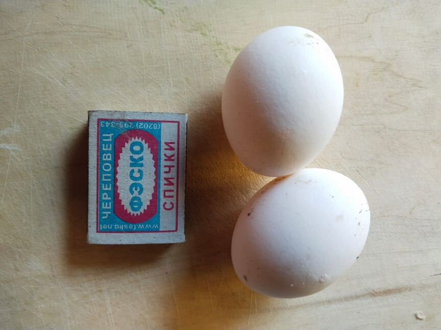 Фермерские куриные яйца
