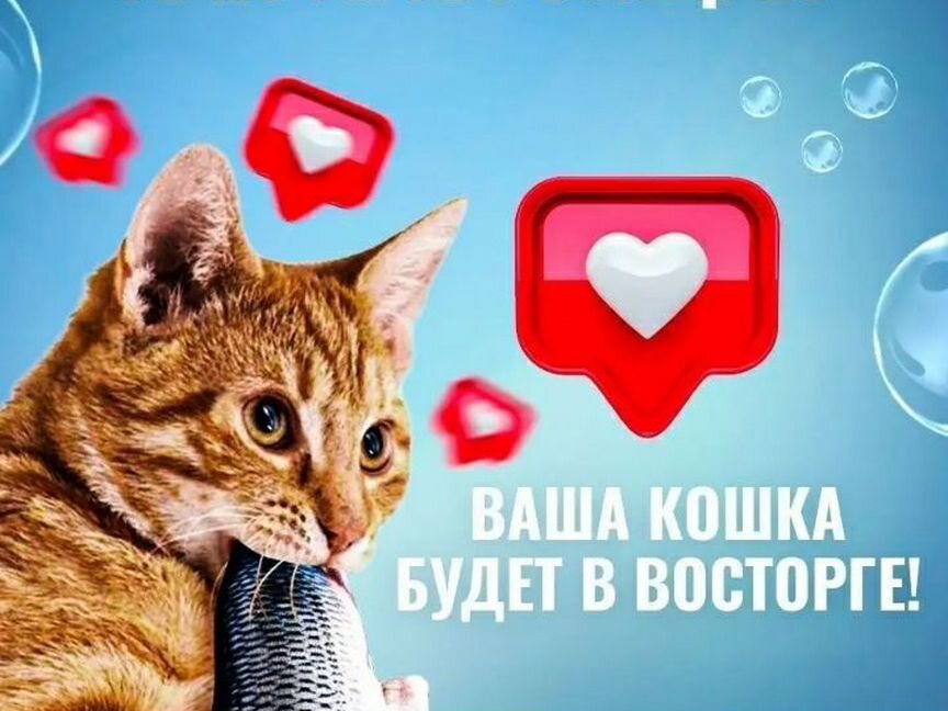 Игрушка для животных