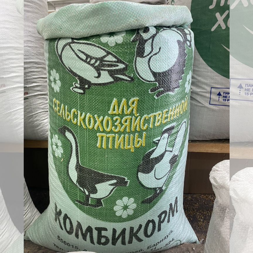 Корм для кур несушек