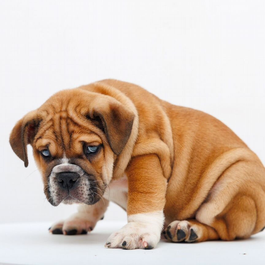 Единственный и неповторимый