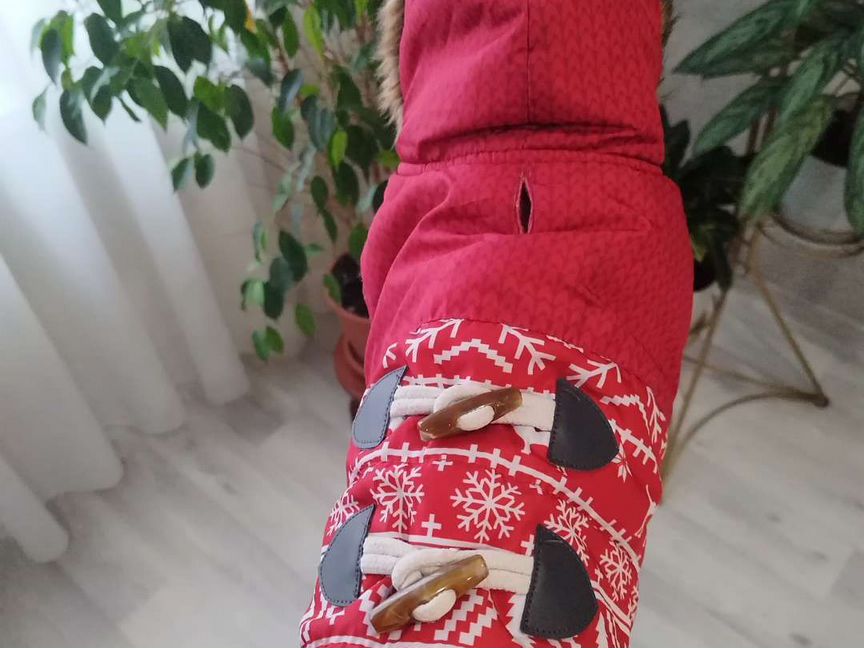 Одежда для собак