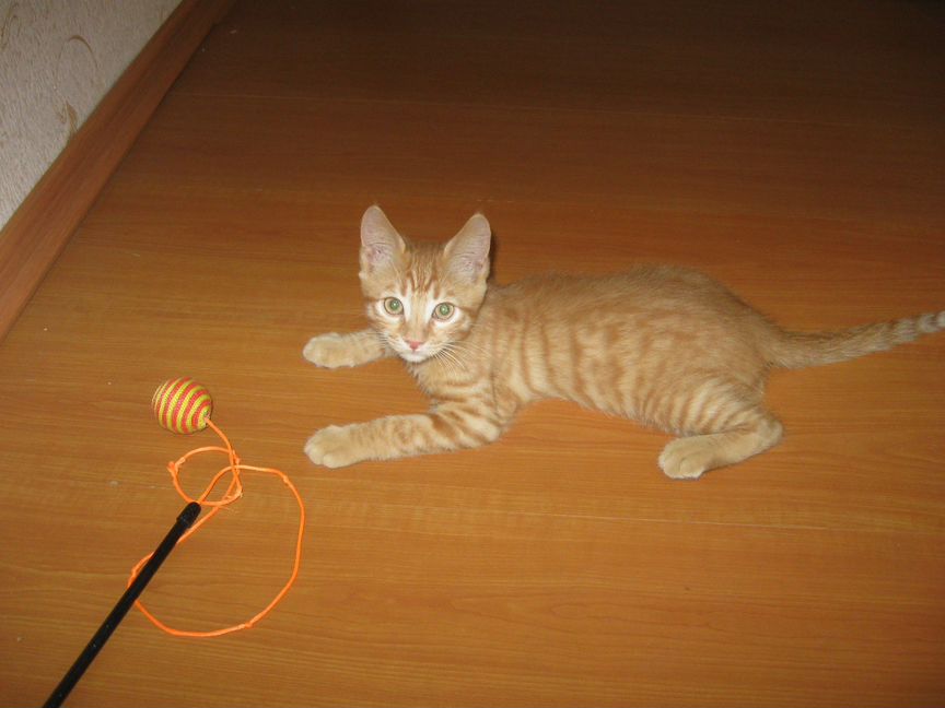 Мама Кася с сыночком Максиком