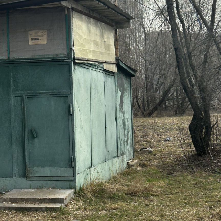 Продам голубей с домом вместе