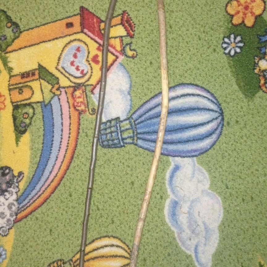 Палки для попугая виноград и вишня