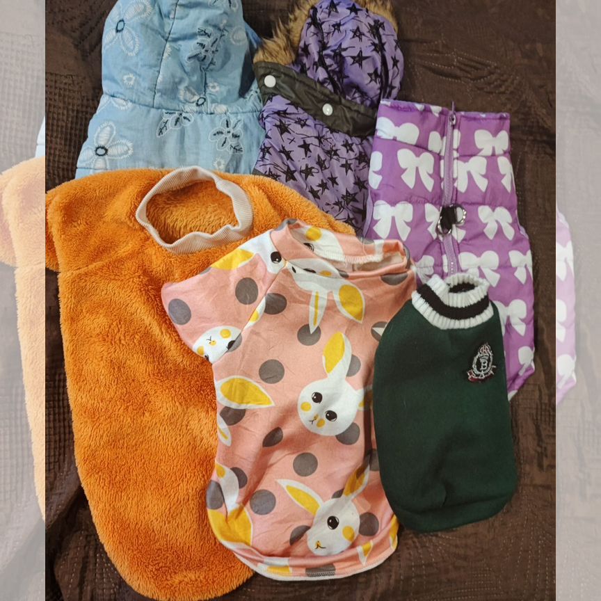 Одежда для маленьких собак